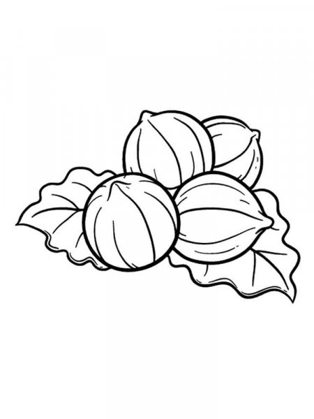 Nuts coloring pages