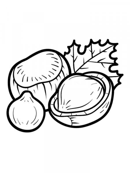 Nuts coloring pages