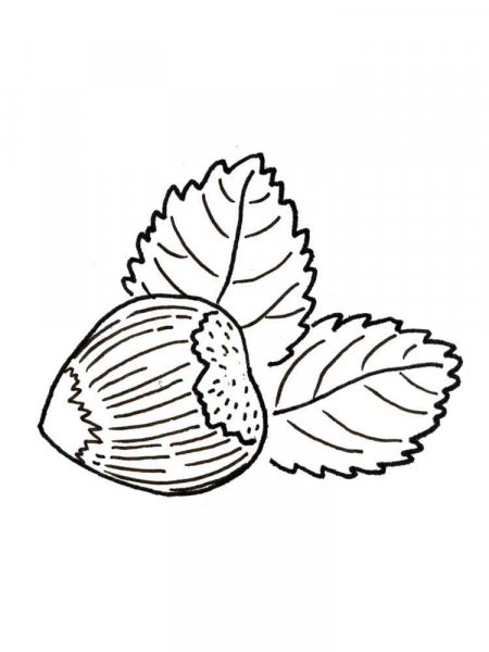 Nuts coloring pages