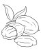 Nuts coloring pages