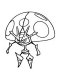 Orbeetle Pokemon coloring pages
