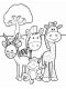 Safari coloring pages