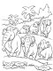 Safari coloring pages