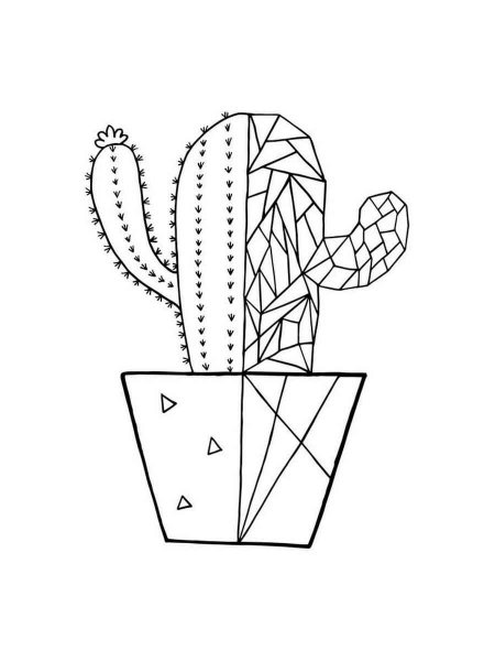 Succulent coloring pages