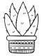 Succulent coloring pages