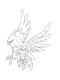 Talonflame Pokemon coloring pages