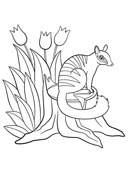 Tree Stump coloring pages