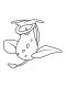 Victreebel Pokemon coloring pages