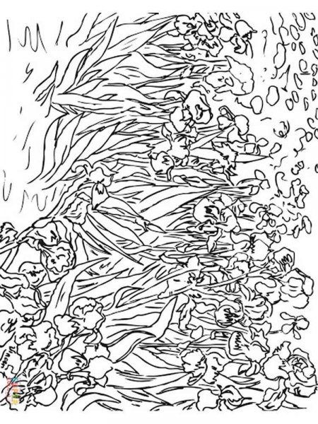Vincent van Gogh coloring pages