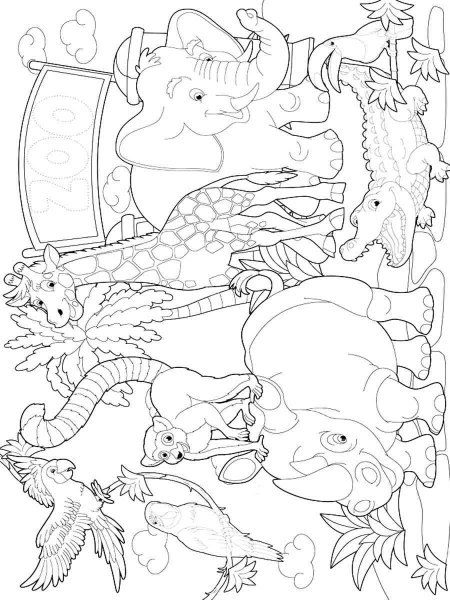 Zoo coloring pages