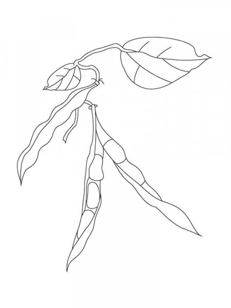 Beans coloring pages
