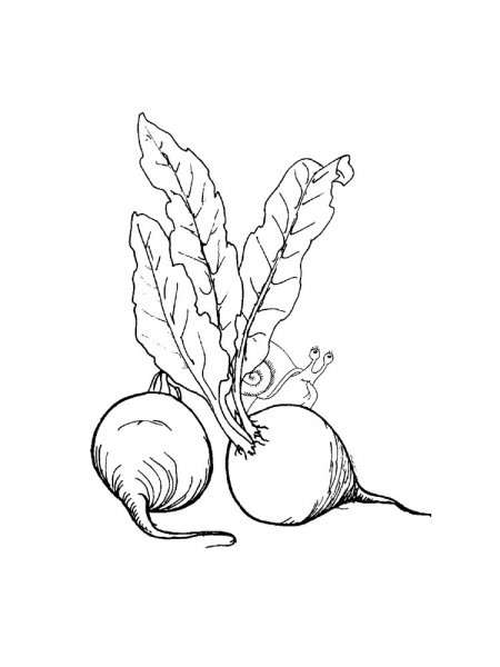 Beet coloring pages