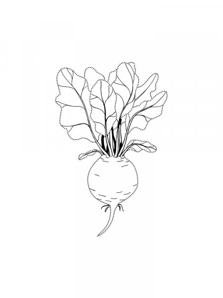 Beet coloring pages