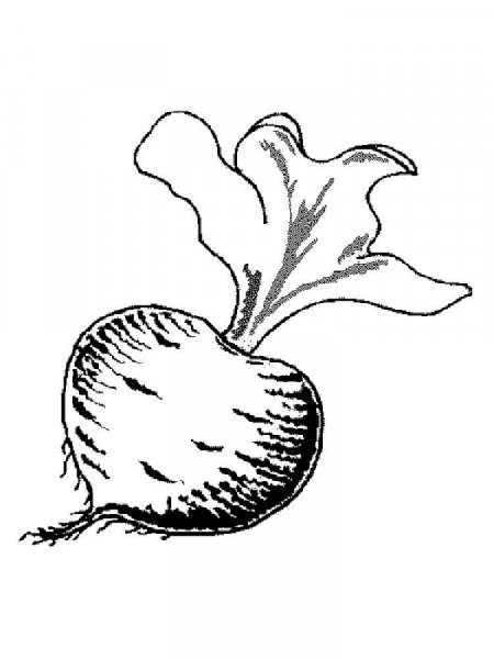 Beet coloring pages