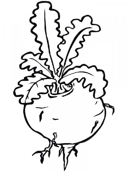 Beet coloring pages
