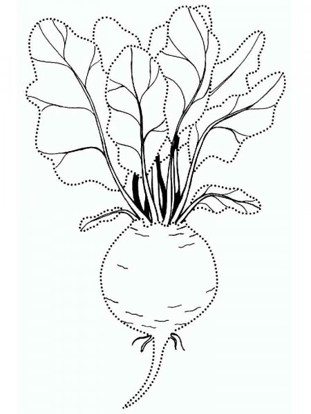 Beet coloring pages
