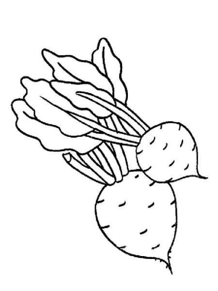Beet coloring pages