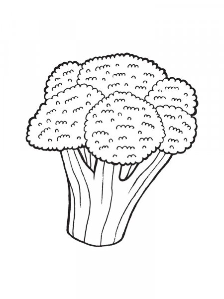 Broccoli coloring pages