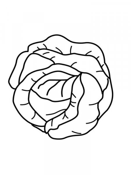 Cabbage coloring pages
