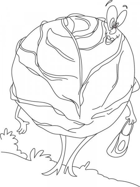 Cabbage coloring pages