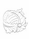Cabbage coloring pages