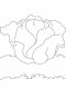 Cabbage coloring pages