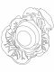 Cabbage coloring pages