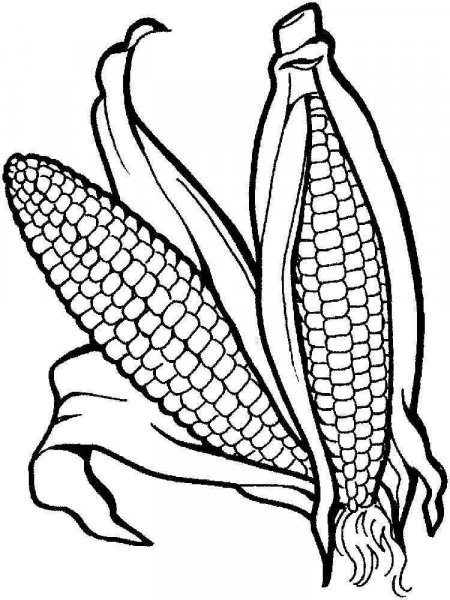 Corn coloring pages