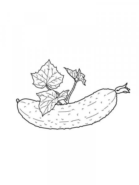 Cucumber coloring pages. Download and print Cucumber coloring pages
