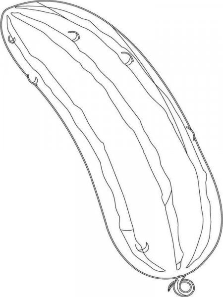 Cucumber coloring pages. Download and print Cucumber coloring pages