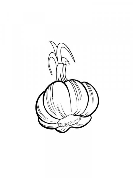 Garlic coloring pages