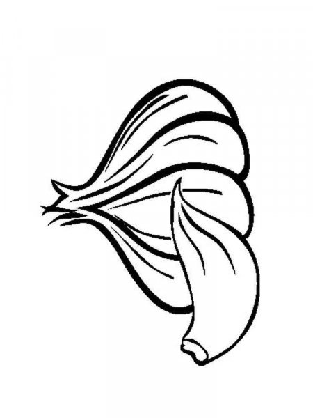 Garlic coloring pages