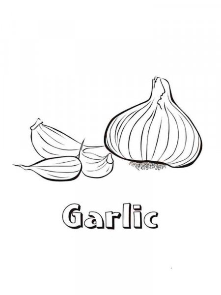 Garlic coloring pages