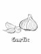 Garlic coloring pages