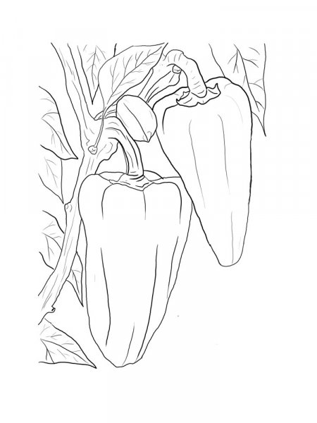 Pepper coloring pages