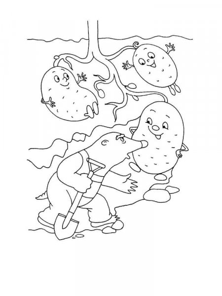 Potato coloring pages