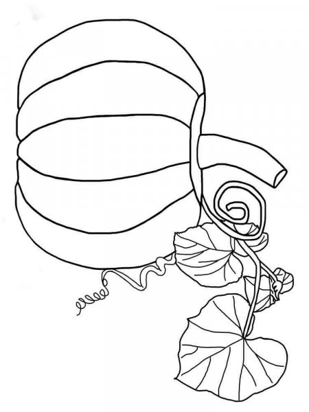 Pumpkin coloring pages. Download and print Pumpkin coloring pages