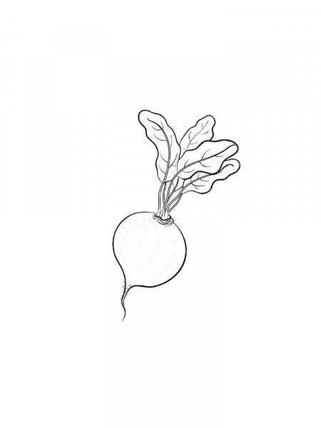 Radish coloring pages