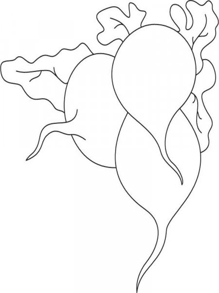 Radish coloring pages
