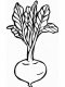 Turnip coloring pages