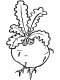 Turnip coloring pages