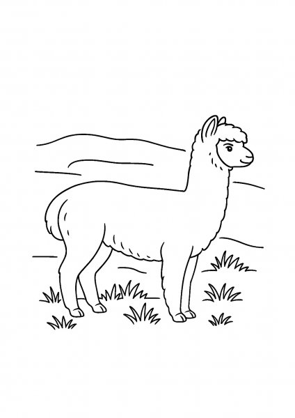 Alpaca coloring pages