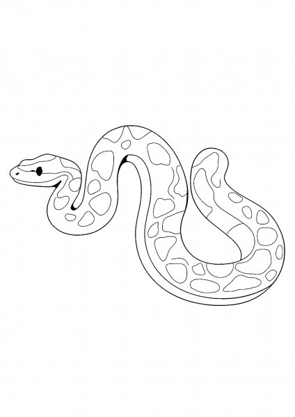 Anaconda coloring pages