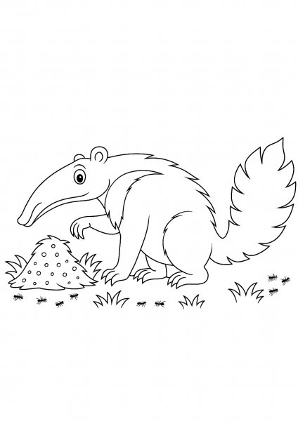 Anteater coloring pages