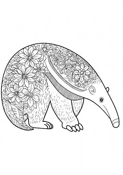 Anteater coloring pages