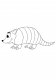 Armadillo coloring pages