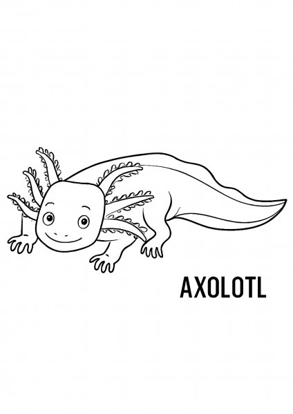 Axolotl coloring pages