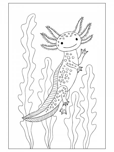 Axolotl coloring pages