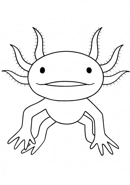 Axolotl coloring pages