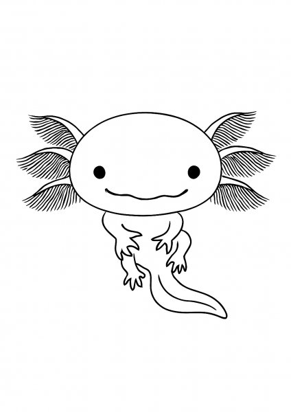 Axolotl coloring pages
